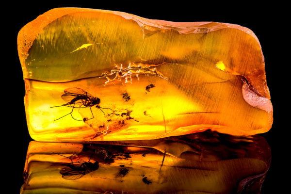 Legends and myths of amber — Baltic Amber